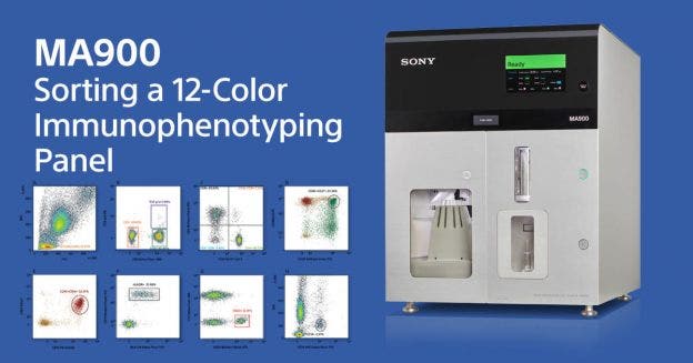 Sorting a 12-Color Immunophenotyping Panel with the MA900 Cell Sorter
