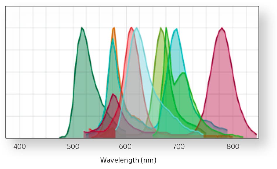 SP6800 Spectral Cell Analyzer - Applications - Sony Biotechnology